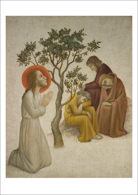 Map Bradi Barth - 36E Court of Olives - Bradi Barth - Greeting cards ...